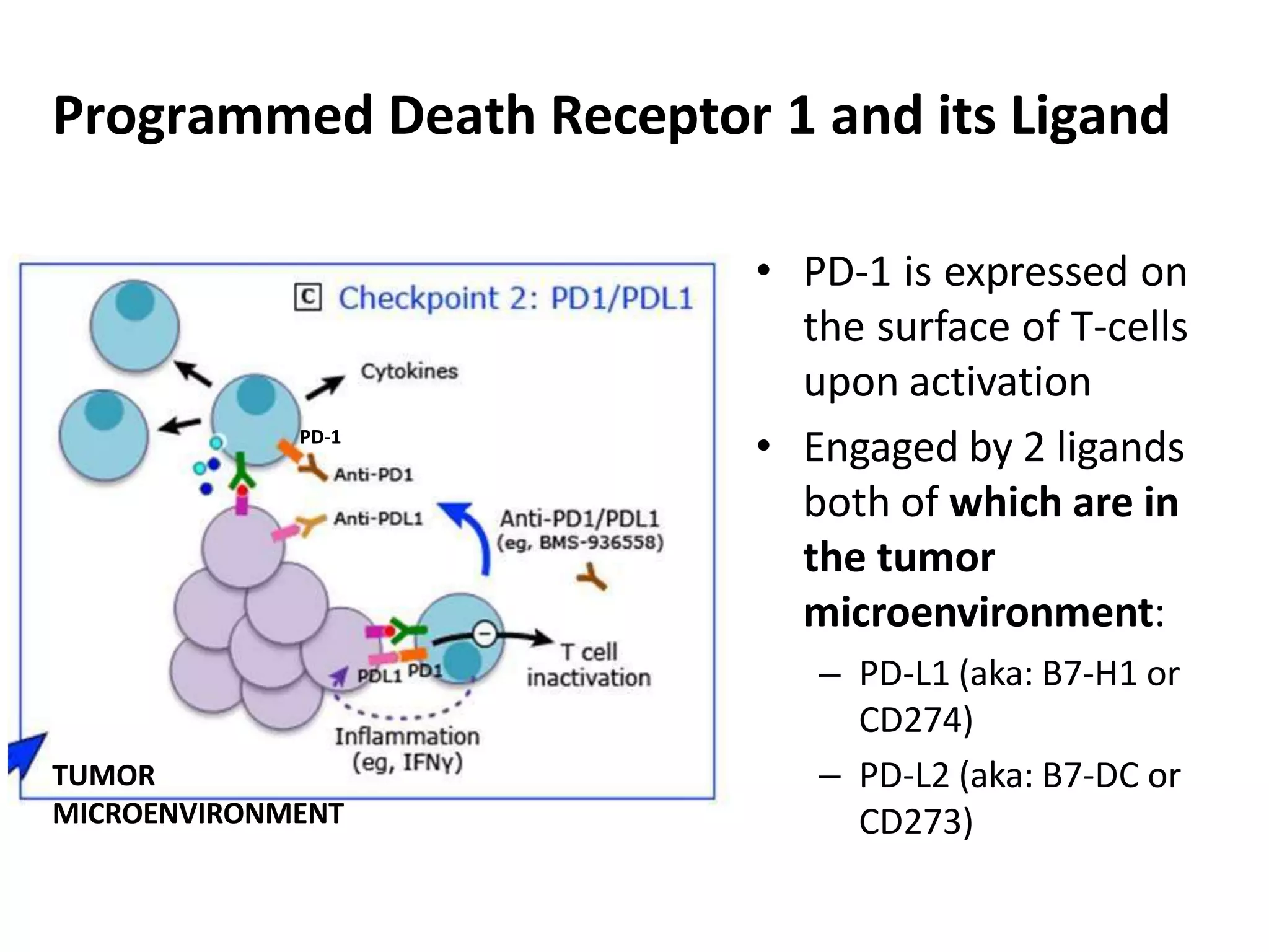 PD1PDL1 Pathway and its inhibitors for slideshare.pptx