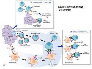 PD1PDL1 Pathway and its inhibitors for slideshare.pptx