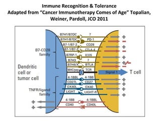 PD1PDL1 Pathway and its inhibitors for slideshare.pptx