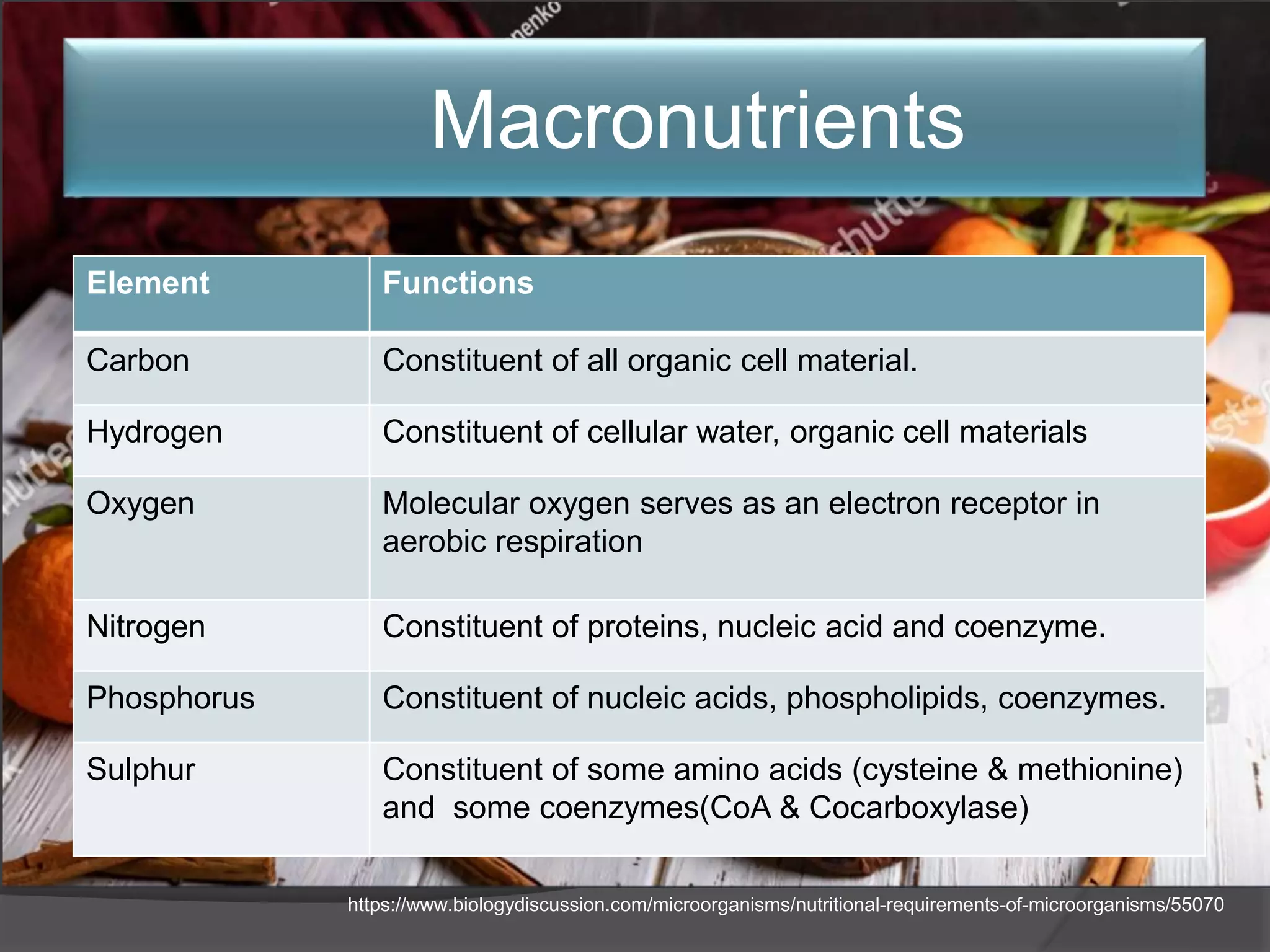 Microbial Nutrition presentation | PPTX