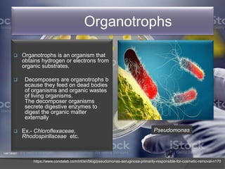 Microbial Nutrition presentation | PPTX