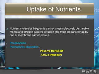 Microbial Nutrition presentation | PPTX