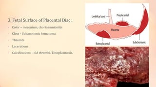 Placenta | PPTX