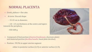 Placenta | PPTX