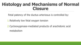 Imaging Findings Of Patent Ductus Arteriosus Pptx