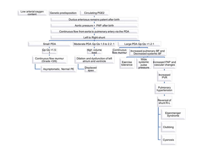 pda concept map.docx