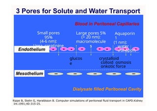 Adekuasi pada CAPD yang membantuuuu pptx | PPT