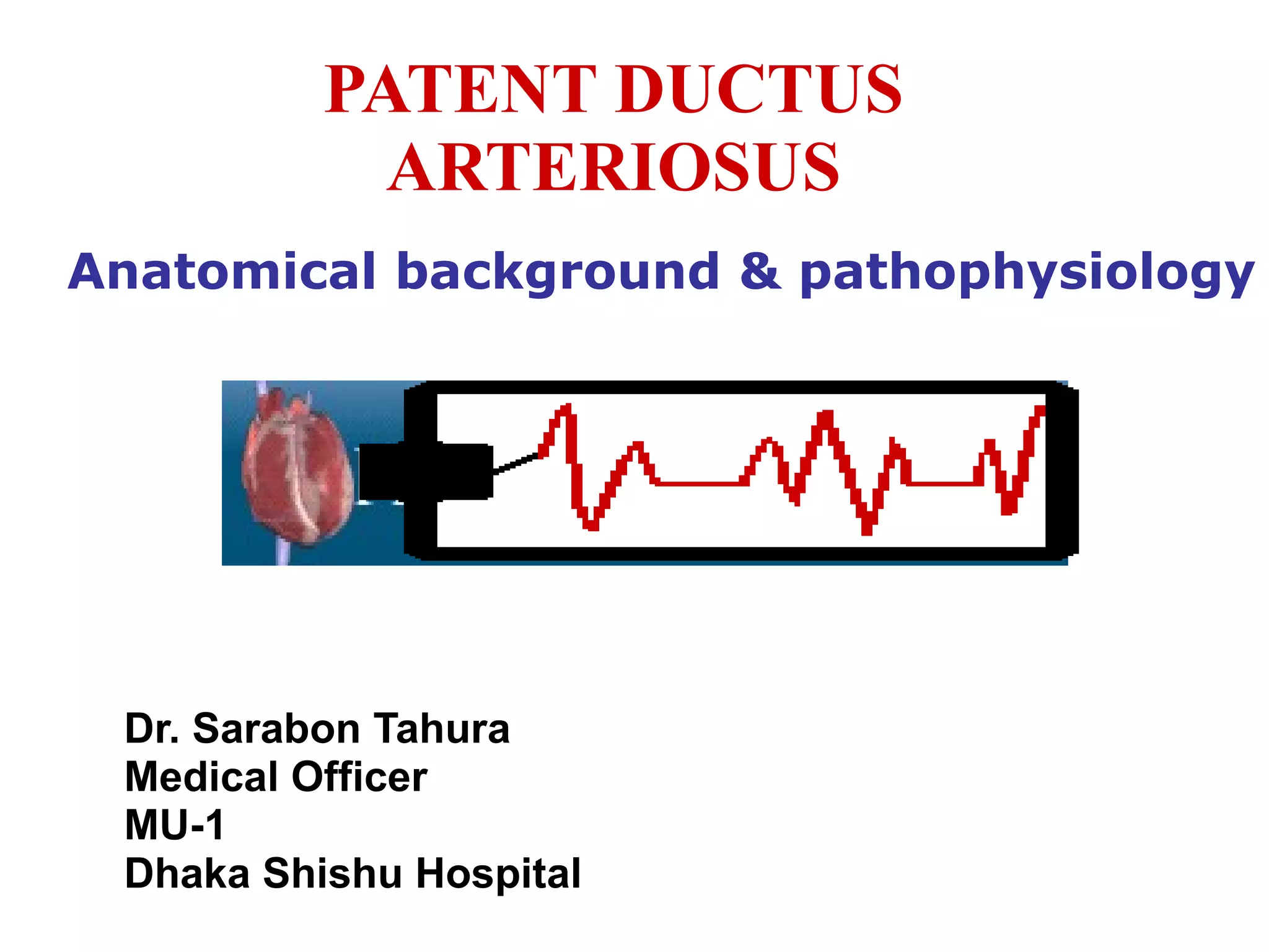 Pda Part 3 Anatomy Physiology | PPT