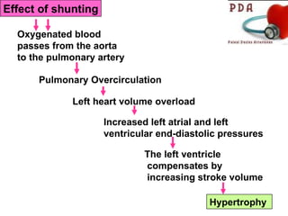 Pda Part 3 Anatomy Physiology | PPT