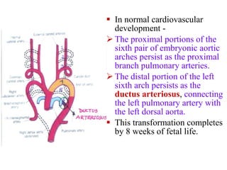 Pda Part 3 Anatomy Physiology | PPT