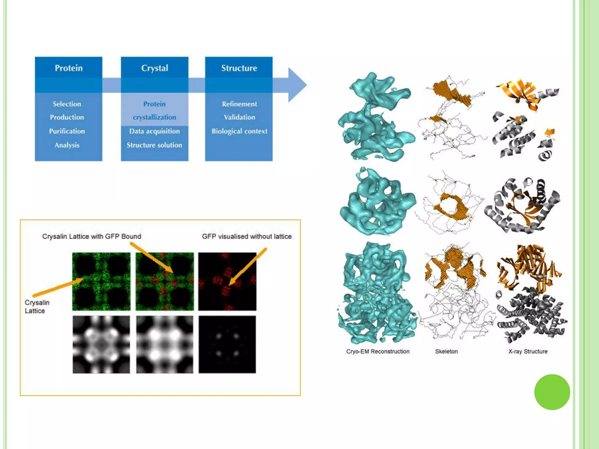 protein data bank | PPTX