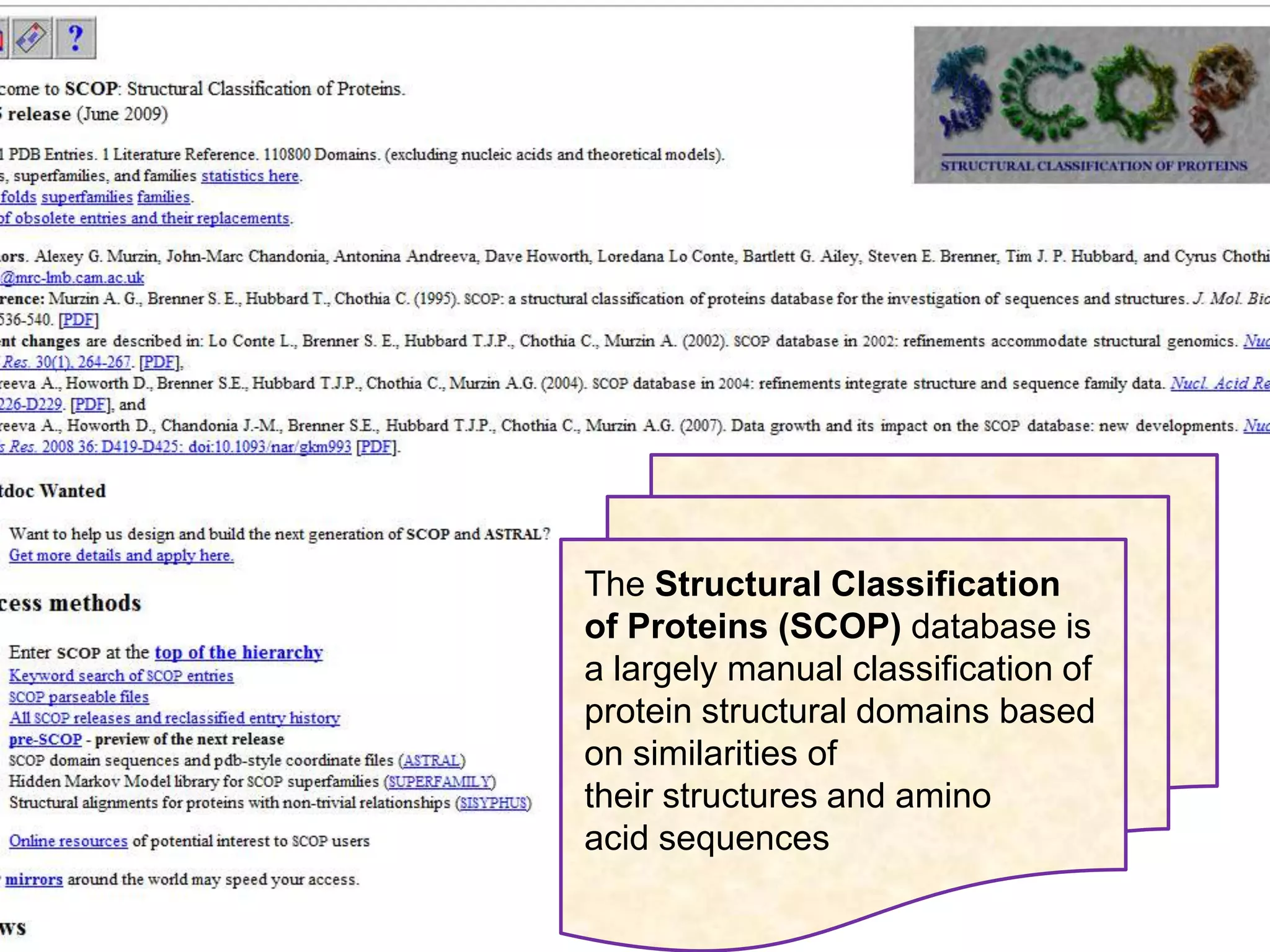 protein data bank | PPTX