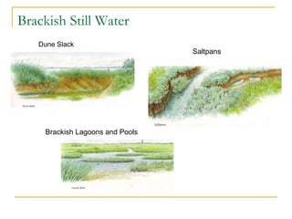 Aquaculture slideshow | PPT