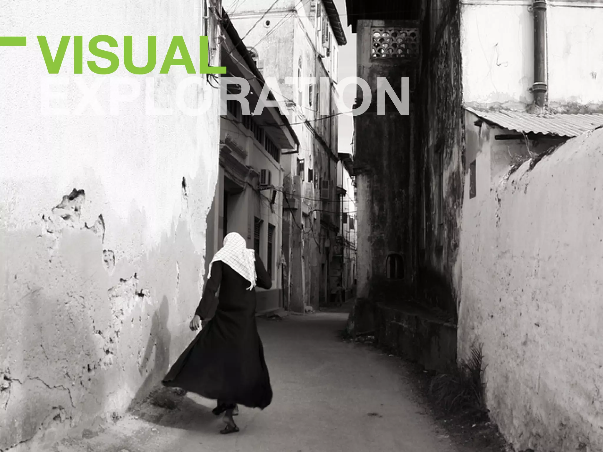 Visual Ethnography | PDF