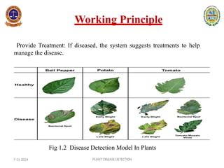 plant diesese detectiin using deep ].pptx