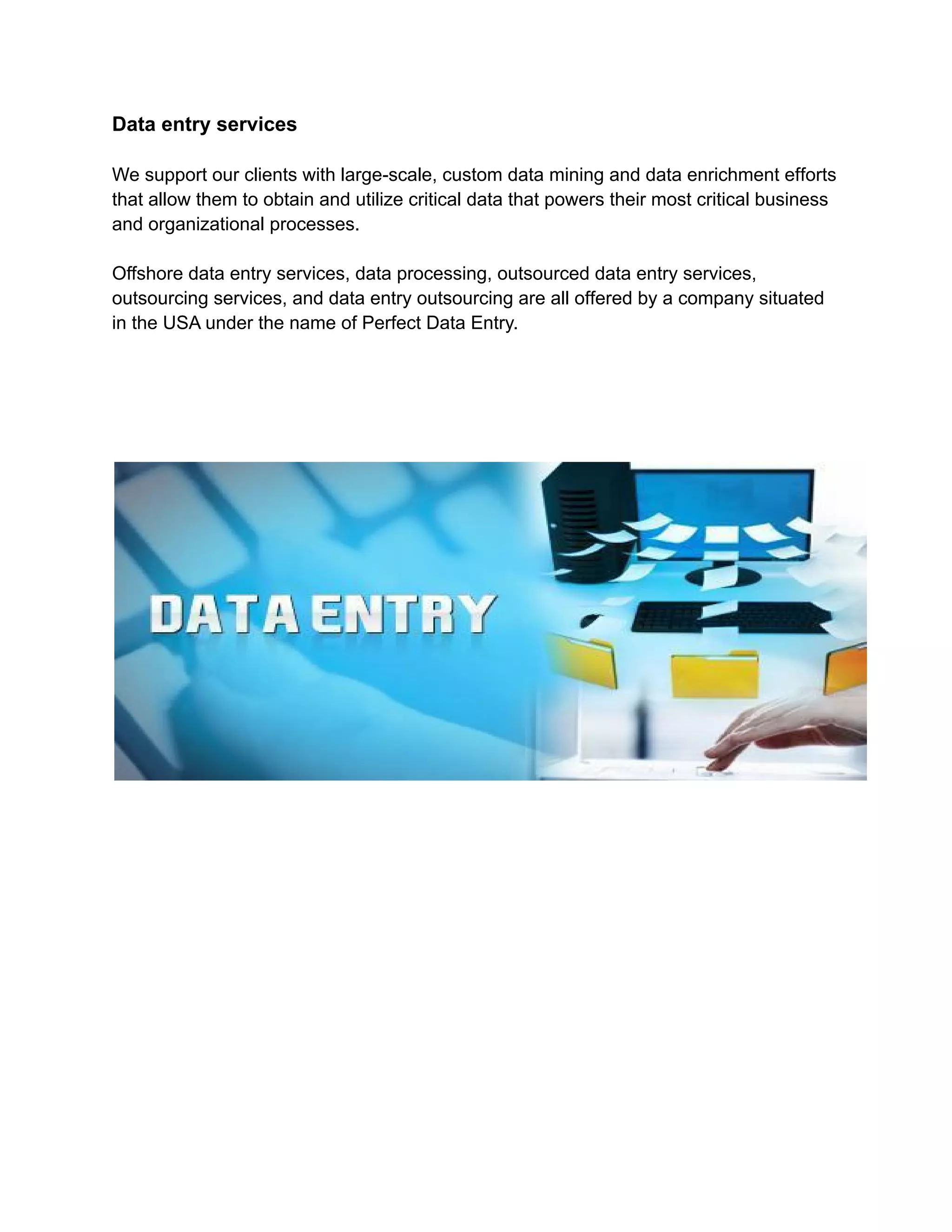 The virtual data entry | PDF