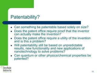 SKGF_Presentation_IP Issues in Nanotechnology - A View from Around the ...