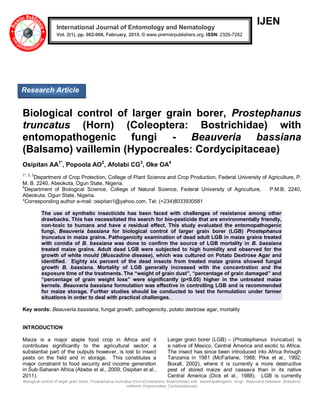 Biological control of larger grain borer, Prostephanus truncatus (Horn ...