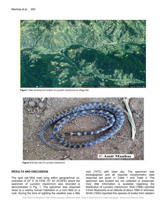 First record of Himalayan Wolf Snake (Lycodon mackinnoni Wall, 1906) in ...