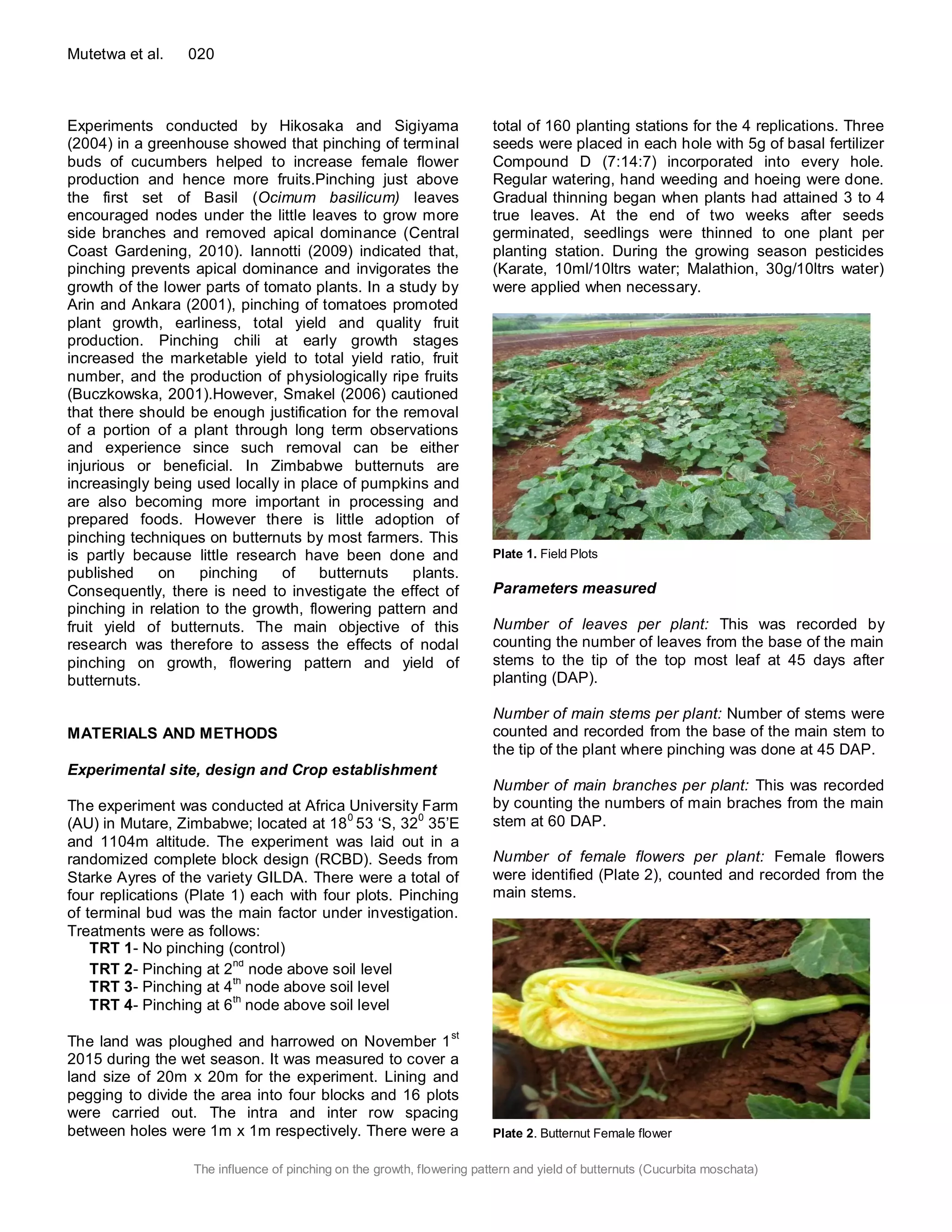 The influence of pinching on the growth, flowering pattern and yield of ...