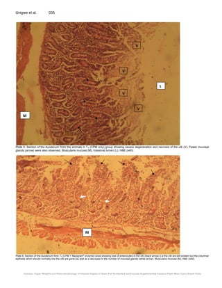 Carcass, Organ Weights and Histo-morphology of Internal Organs of Sows ...
