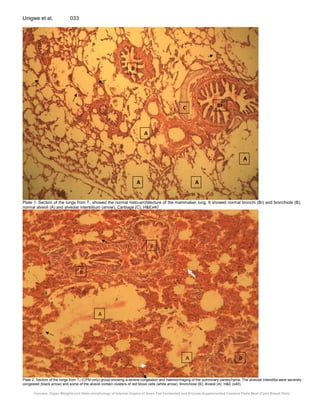 Carcass, Organ Weights and Histo-morphology of Internal Organs of Sows ...