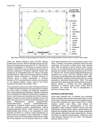 Polyploidy in Bulinid Snails, with Emphasis on Bulinus truncatus ...