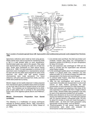 Polyploidy in Bulinid Snails, with Emphasis on Bulinus truncatus ...