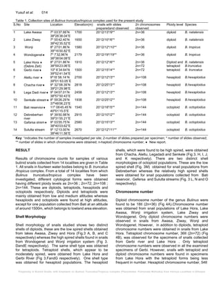 Polyploidy in Bulinid Snails, with Emphasis on Bulinus truncatus ...