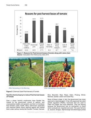 Postharvest Losses of Tomato: A Value Chain Context of Bangladesh | PDF