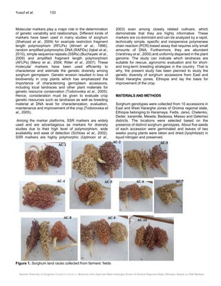 Genetic Diversity of Sorghum (Sorghum bicolor L. Moench) from East and ...