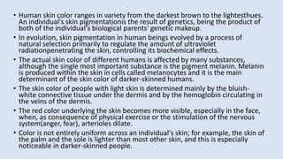 Pdf |Histology| - The skin - | PPT | Free Download