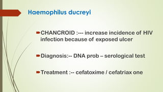 Pdf -- haemophilus -- Bactriology -- | PDF