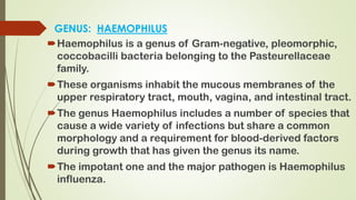 Pdf -- haemophilus -- Bactriology -- | PDF