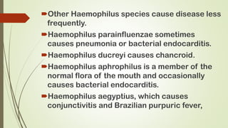 Pdf -- haemophilus -- Bactriology -- | PDF