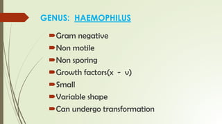Pdf -- haemophilus -- Bactriology -- | PDF