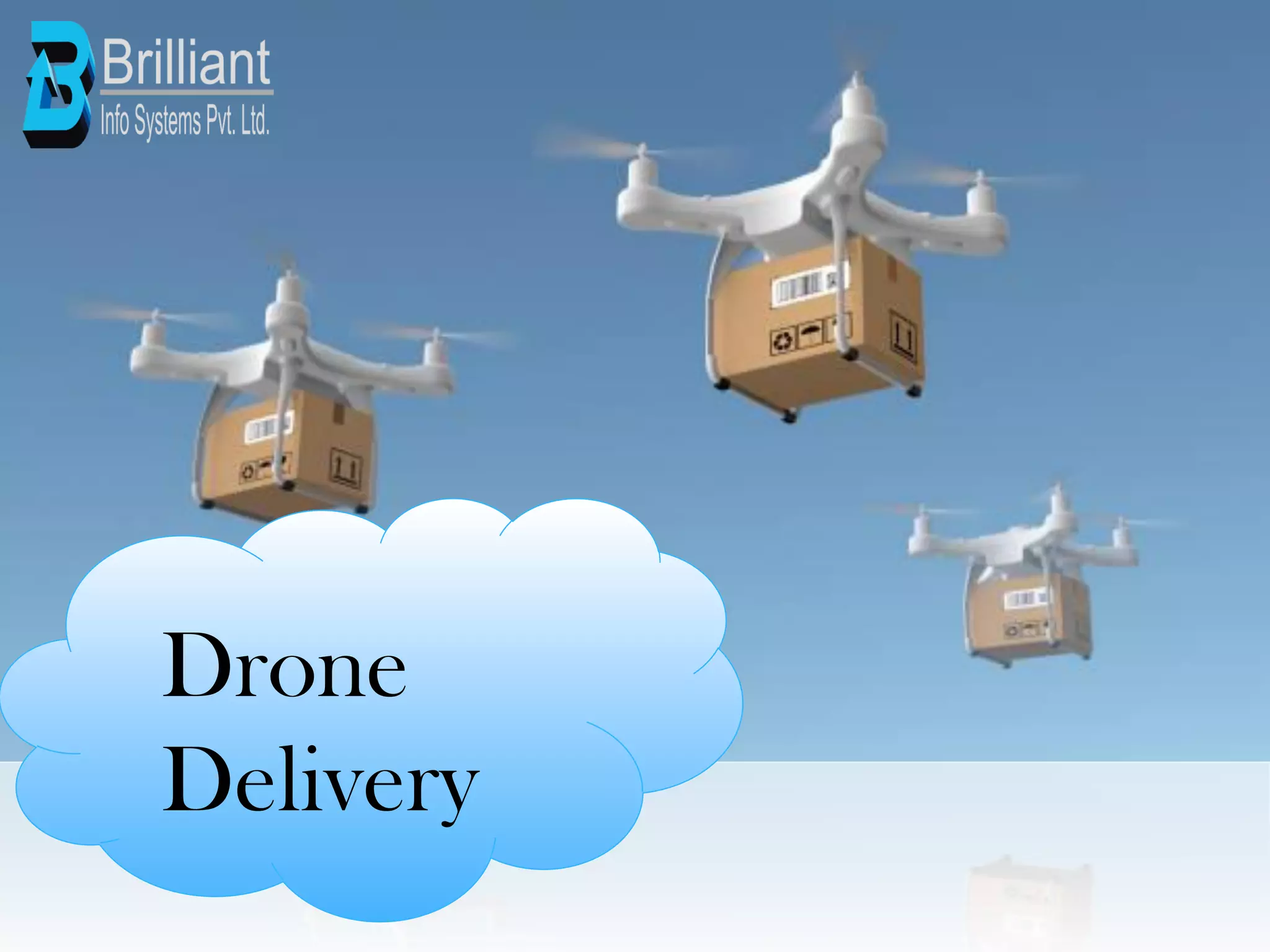 Drone delivery system | PDF