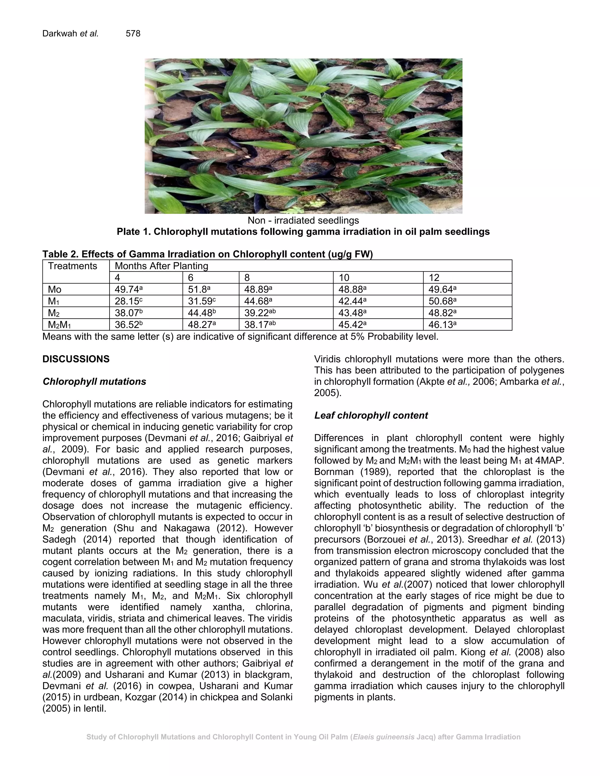 Study of Chlorophyll Mutations and Chlorophyll Content in Young Oil ...