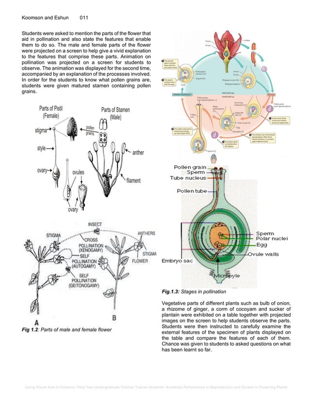Using Visual Aids to Enhance Third Year Undergraduate Teacher Trainee ...