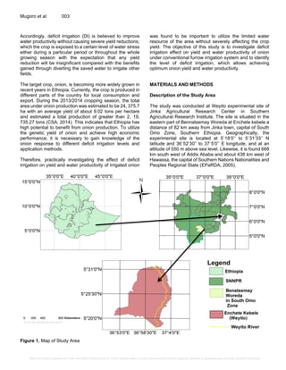 Effect of Deficit Irrigation on Yield and Water Productivity of Onion (Allium cepa l.) under ...