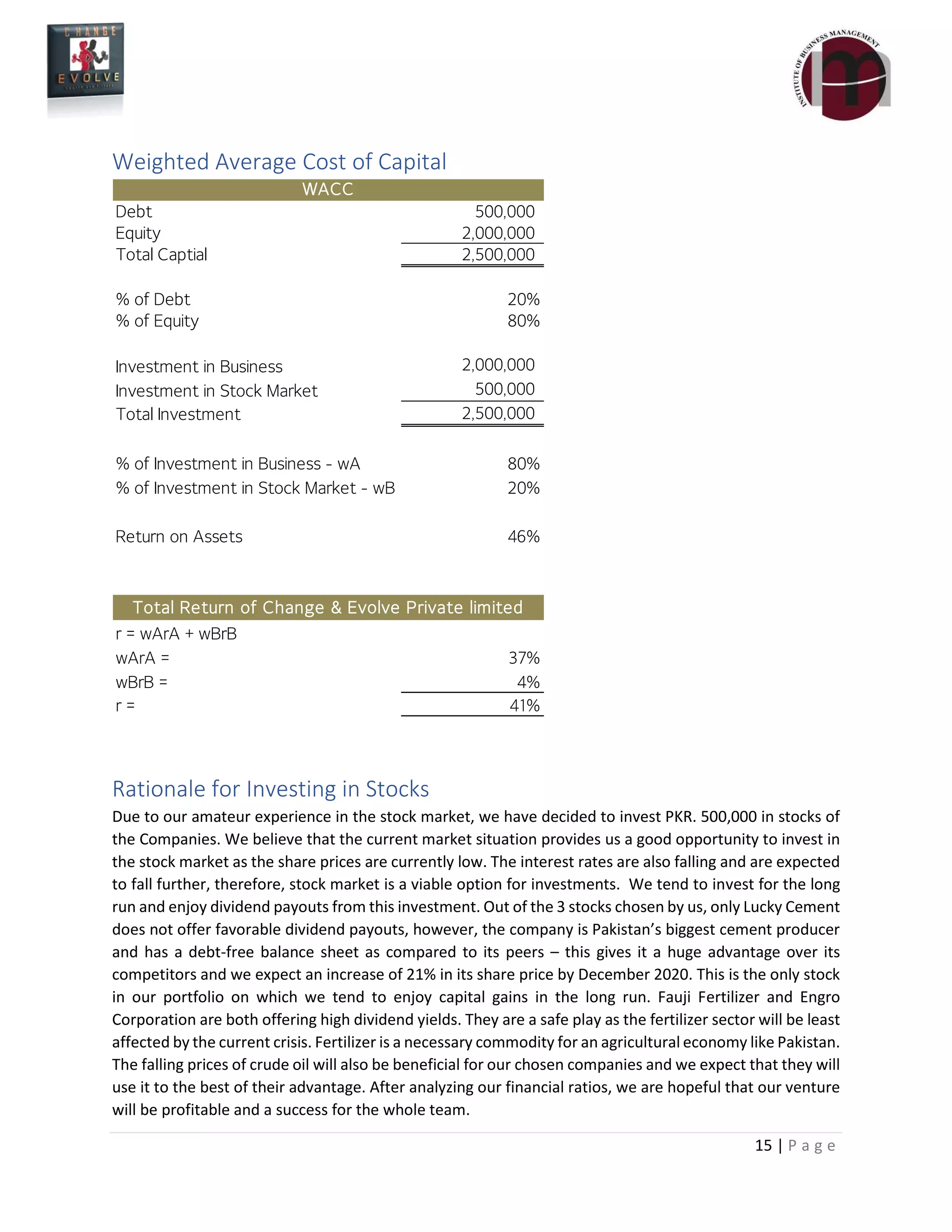 Strategic Financial Analysis and Design - Finance Report | PDF