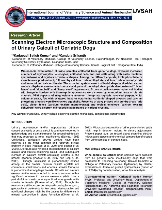 Scanning Electron Microscopic Structure and Composition of Urinary ...