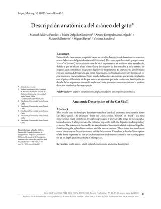 Descripción del cráneo del gato | PDF