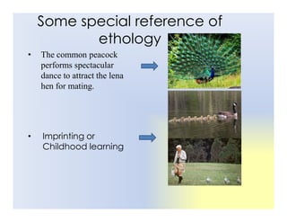 Principle of Ethology with special reference to pattern of behavior | PDF