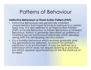 Principle of Ethology with special reference to pattern of behavior | PDF