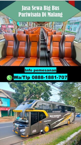 sewa bus medium travel | PDF