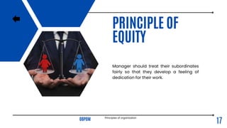 Principles of organization.pdf