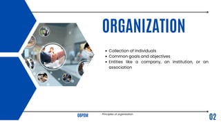 Principles of organization.pdf