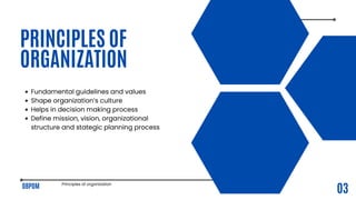 Principles of organization.pdf