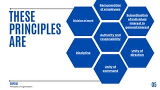 Principles of organization.pdf